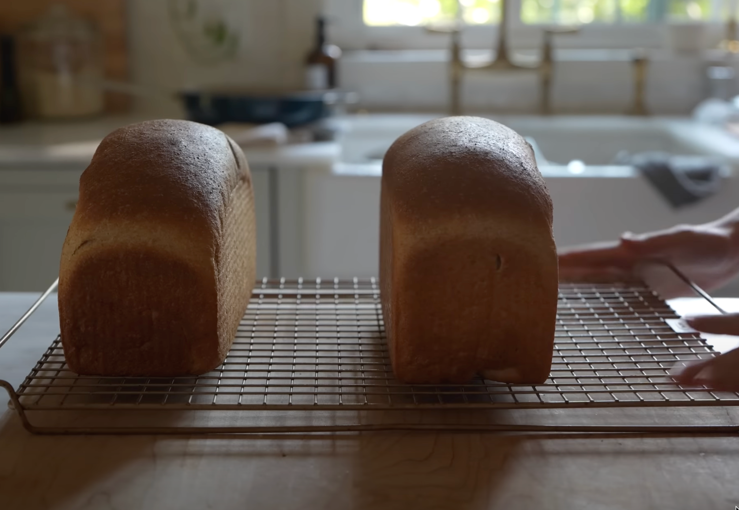 Fluffy Honey Wheat Sandwich Bread | Made with 100% Freshly Milled Flour ...